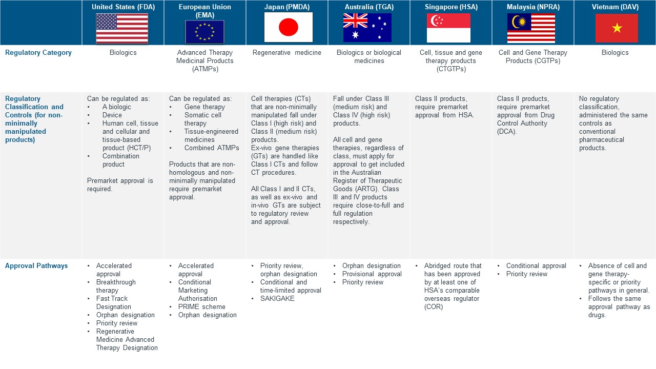 Navigating the Diverse Cell, Tissue, and Gene Therapy Landscape in ... Navigating the Diverse Cell, Tissue, and Gene Therapy Landscape in ...