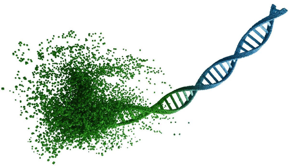 A New Path to Your Success Via Human Data Science - IQVIA